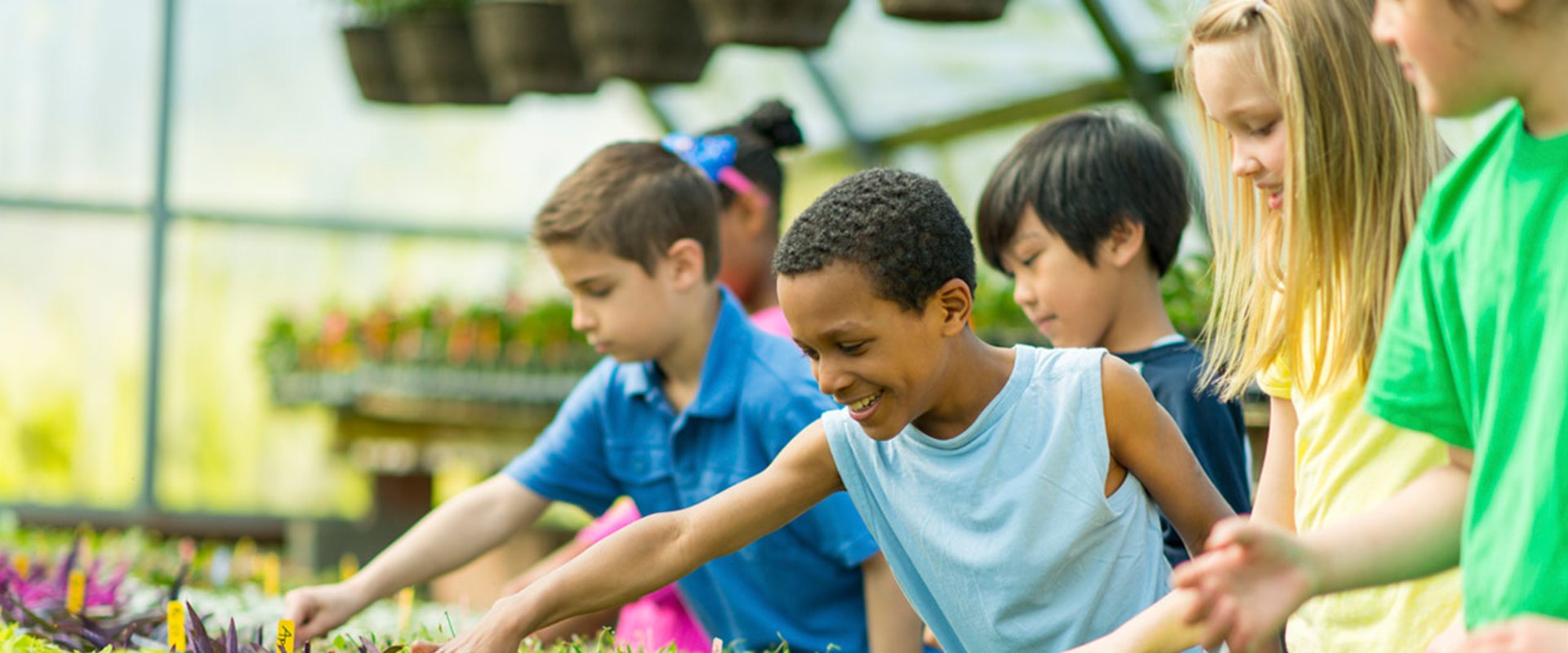 What Types of Activities Do Australian Youth Organizations Offer?